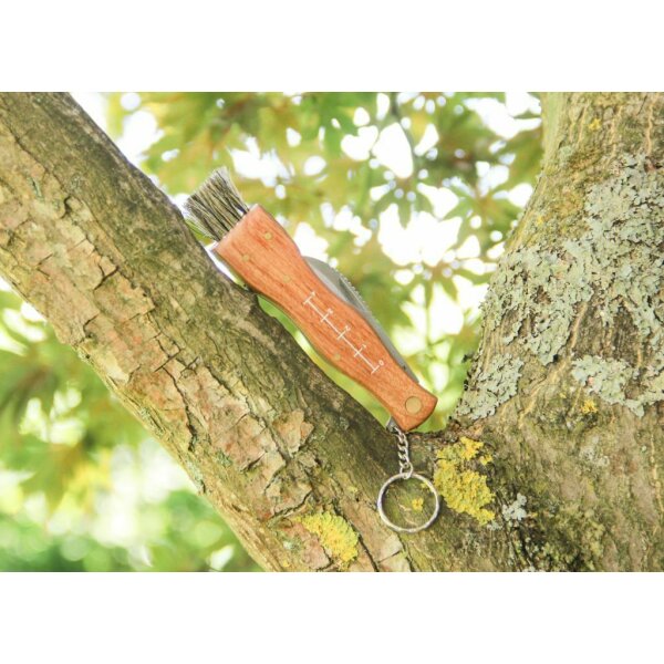 Albainox Pilzmesser Mushroom Knife Schwammerlmesser Bürste und Pinzet ...