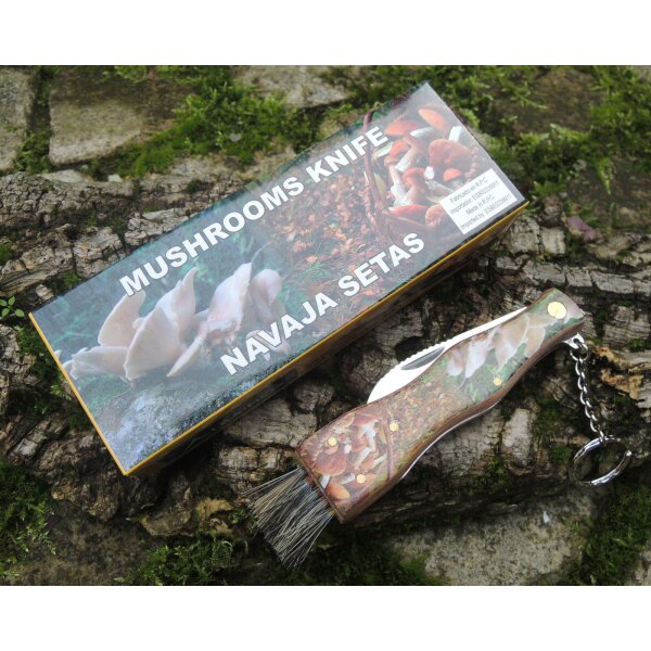 Albainox Pilzmesser Pilz Messer Mushroom Knife mit 3D PRINTING Bürste ...