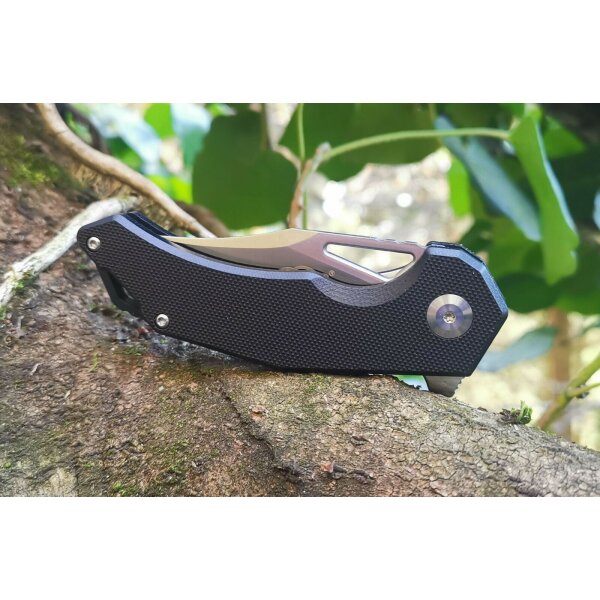 Ganzo FH61-BK D2 Stahl Flipper, 34,95