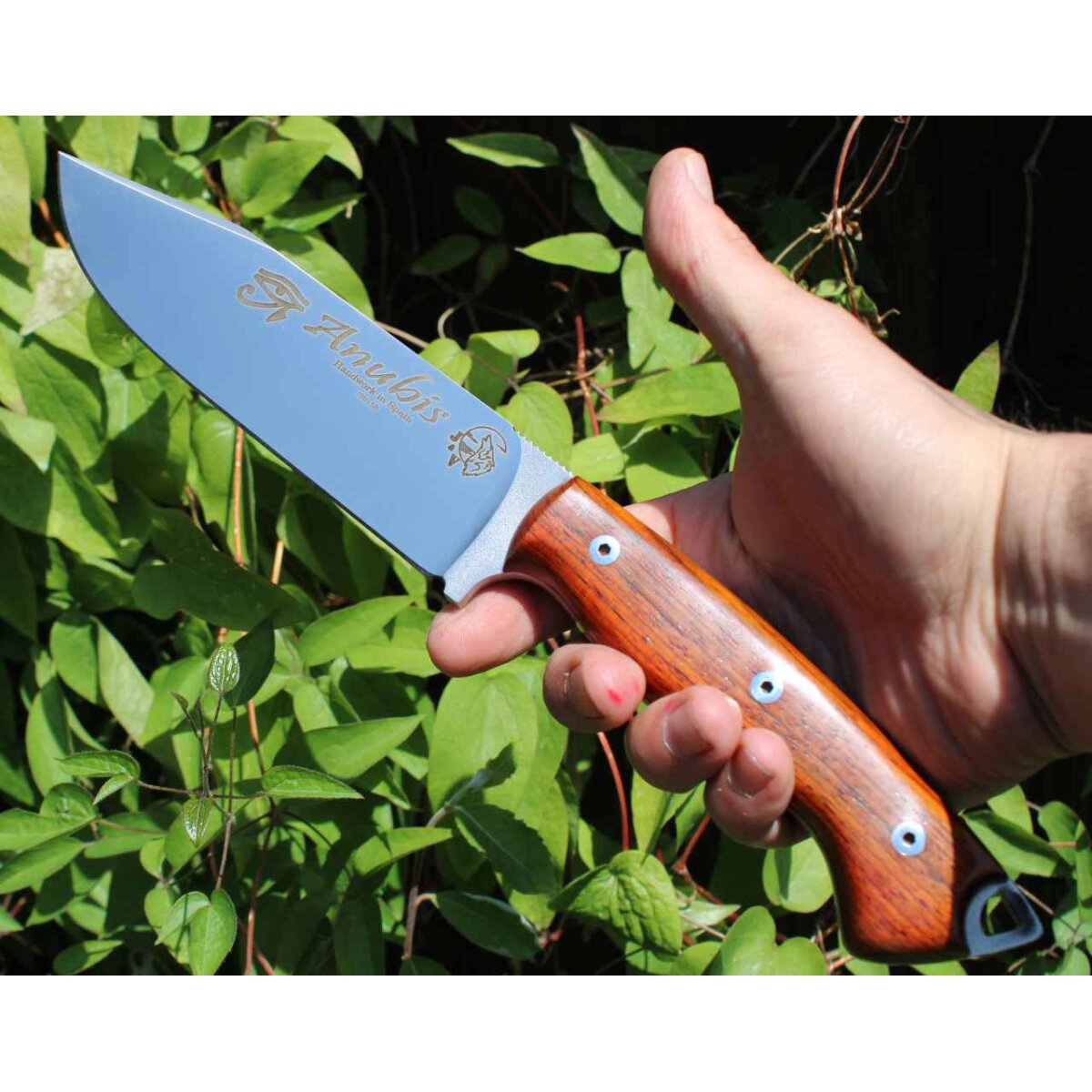 J&V Forester Knives Anubis MoVa Stahl Cocoboloholz inkl. Lederscheide ...